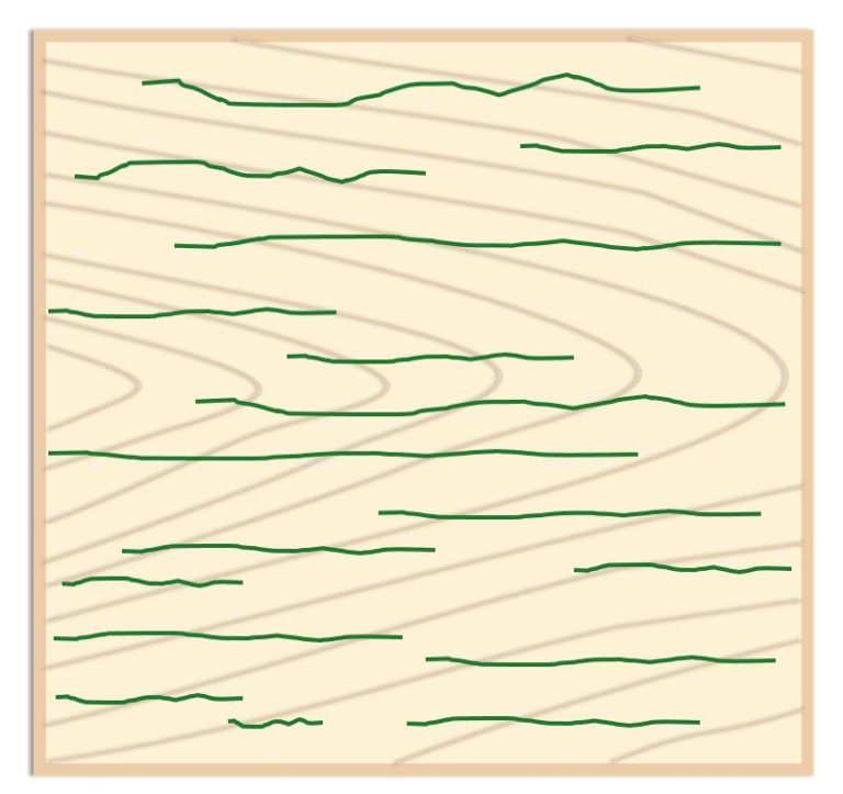 Surface Checking and Plywood, Is It a Concern? | Just Paint