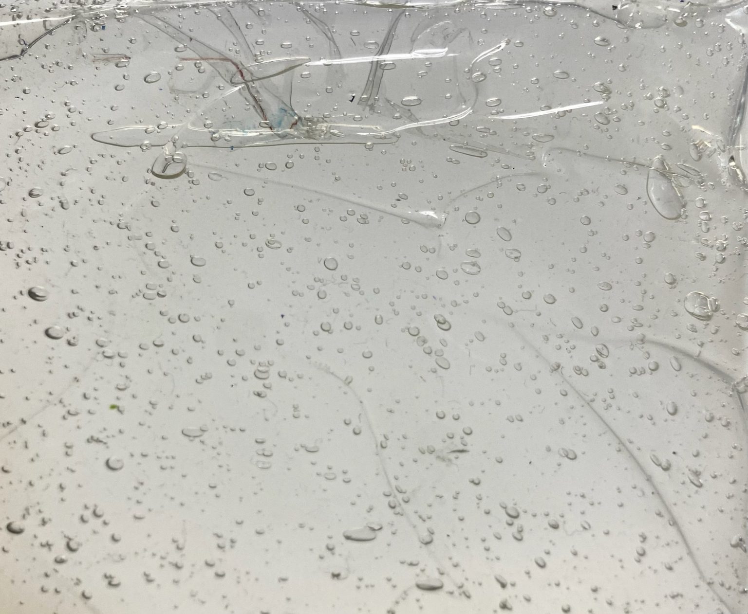 Encasing Natural Objects in Acrylics: Petals and Leaves | Just Paint