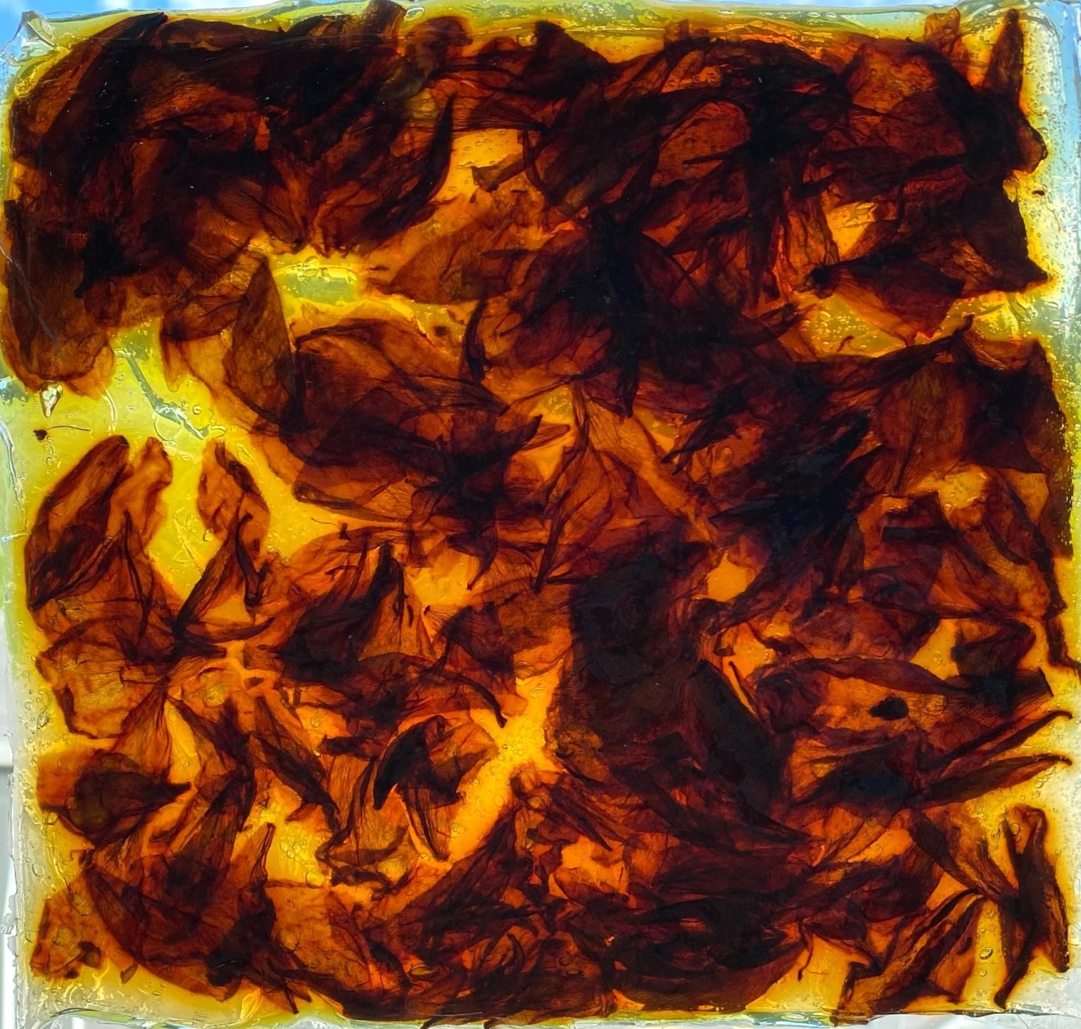 Encasing Natural Objects in Acrylics: Petals and Leaves | Just Paint